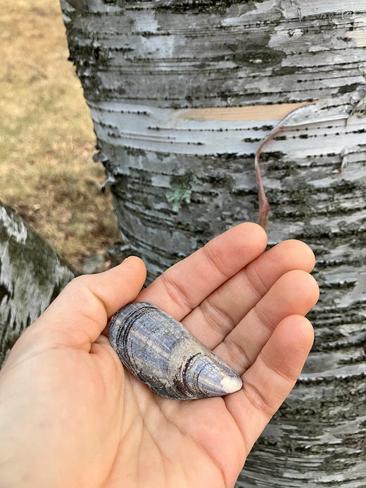 Monday Morning Muse | Hannah Lynn Mell | Substack