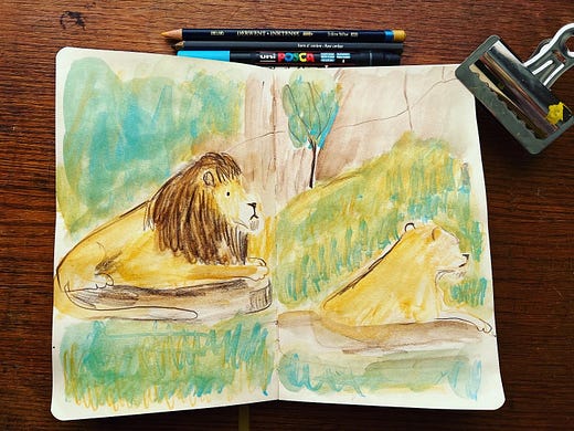 Introvert Drawing Club | Beth Spencer | Substack