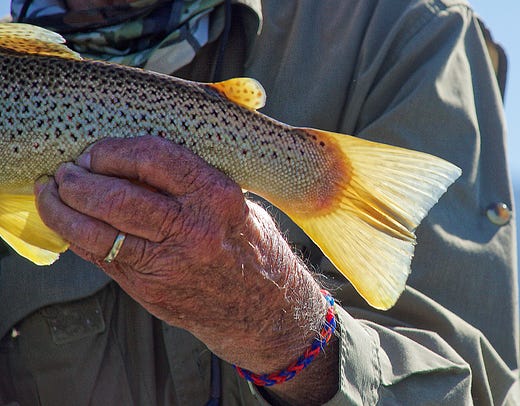 Musings Of An Old Trout Bum | Greg Vinci | Substack