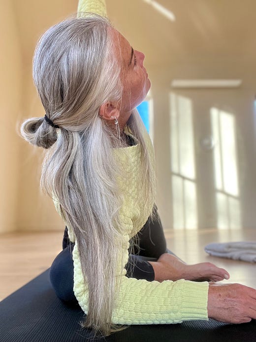 Ellen Barrett Substack | Substack