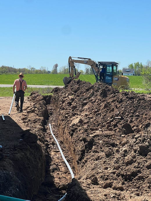 House of Green | Alexandra Fasulo | Substack