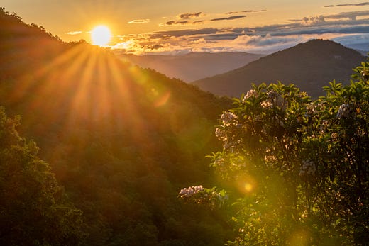 TRANSFORM with Marianne Williamson | Substack