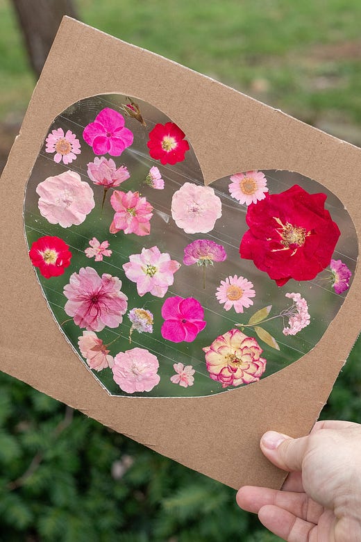 Hello, Wonderful | Substack