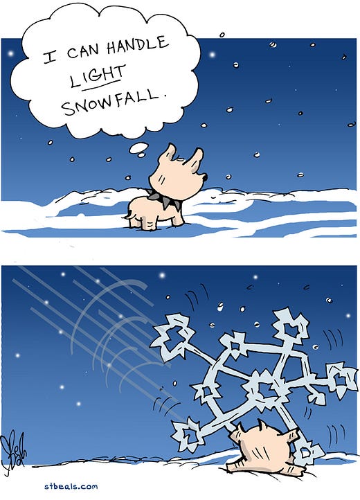 StBeals | Stephen Beals | Substack