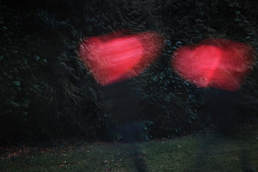 The Audacity. | Roxane Gay | Substack