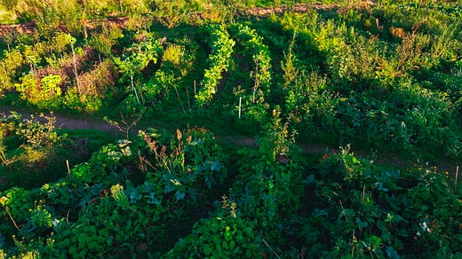 Huw Richards | Substack