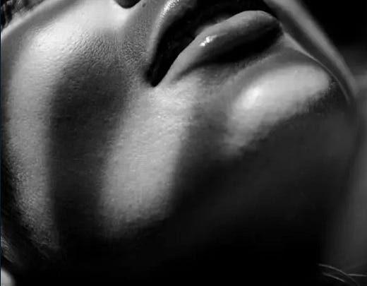 Charlotte's Book | Robin Levine Shobin | Substack