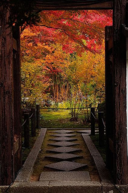 Carrie's Bench | Carrie Craig | Substack