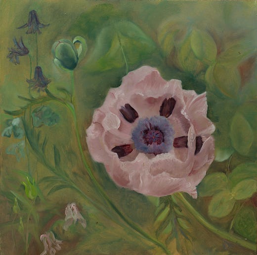 Still Sketching | Deborah Vass | Substack