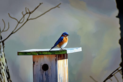 Hello, Writer! | Linda Caroll | Substack