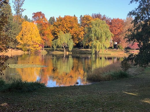 Michael Gurian’s Substack | Substack