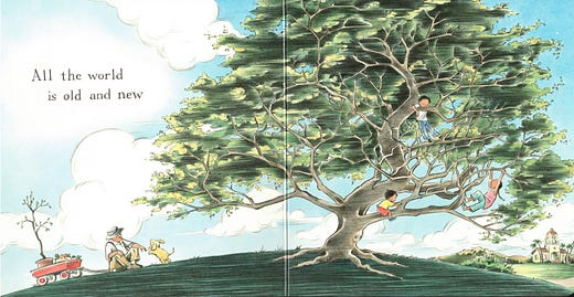 Why is this interesting? | Noah Brier | Substack