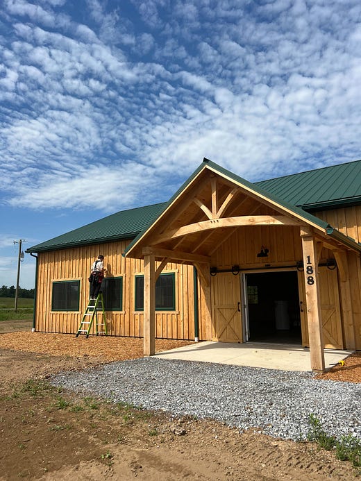 House of Green | Alexandra Fasulo | Substack