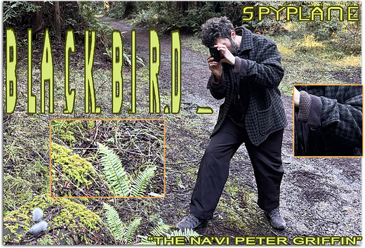 Blackbird Spyplane | Substack