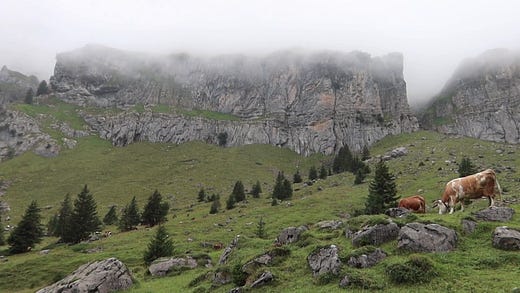 LOVE FROM ASH | Ashley Sinclair | Substack