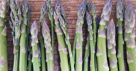 how to prepare your asparagus for winter