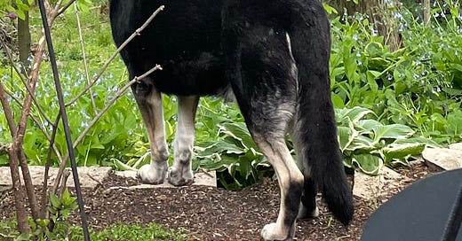 J.F. Riordan; Reflections on a Life in Exile | J. F. Riordan | Substack