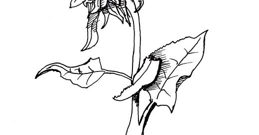 its a meaningful life coloring pages