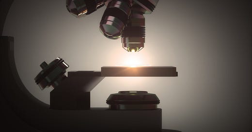 Through the Fog, by Elliot Kirschner | Substack