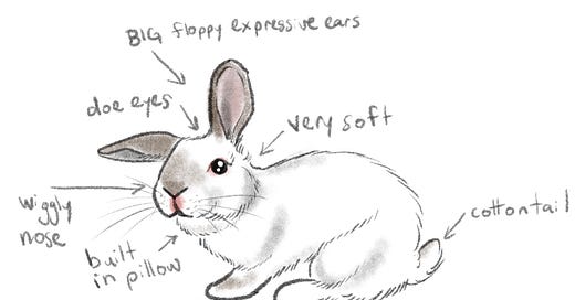 how to draw rabbit ears