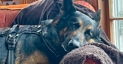 J.F. Riordan; Reflections on a Life in Exile | J. F. Riordan | Substack