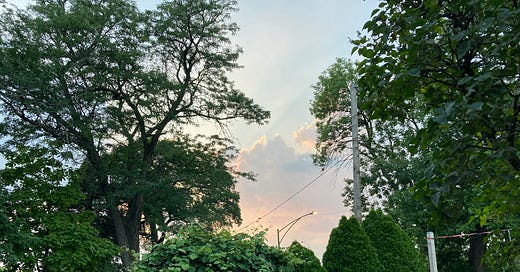 This Week in Birding | Bob Dolgan | Substack