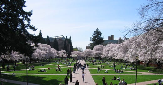 The Cholent | Emily Alhadeff | Substack