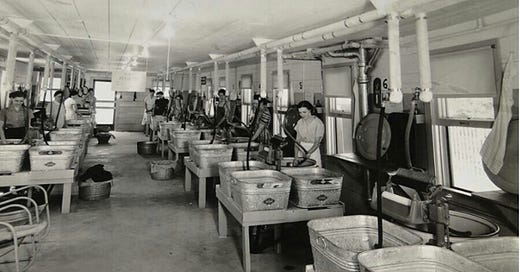 Slowdown Farmstead | Tara | Substack