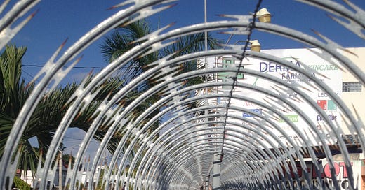 Frank & You | Substack