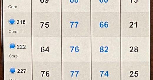 Busy Bee Kindergarten | Randee Bergen | Substack