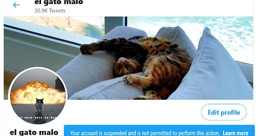 bad cattitude | el gato malo | Substack