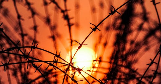 The Hartmann Report | Thom Hartmann | Substack