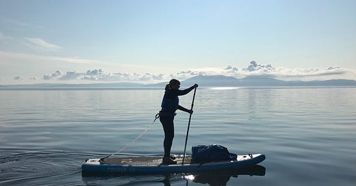 Intrepid Magazine | Substack