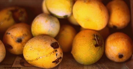 culture shock | Pranay Somayajula | Substack