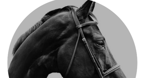 The Flow Horse | TheFlowHorse | Substack