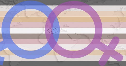 The Heterosexual Pride (HsP) Flag - The Conservator