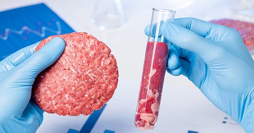 The Abbey of Misrule | Paul Kingsnorth | Substack