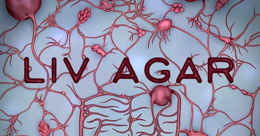 Liv’s Newsletter | Liv Agar | Substack