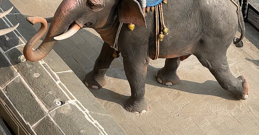 Wordy Bird | Susan Orlean | Substack