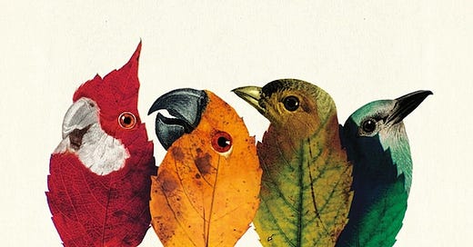 Curious About Everything | Jodi Ettenberg | Substack