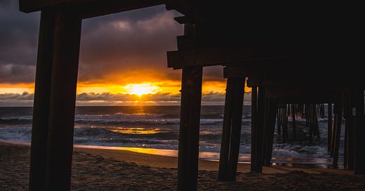 Orange Tree Square Photography | Jennifer Sulla | Substack