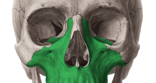 JawHacks | Ronald Ead | Substack