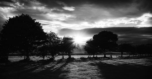 Beyond the Frame | Gavin Gough | Substack