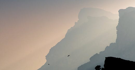 Best of Pentax Forums Newsletter | PentaxForums.com | Substack