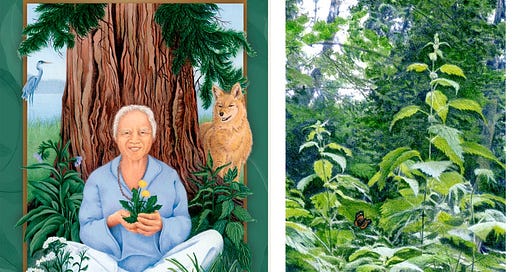 Messages from Sea & Cedar with Joanna Powell Colbert | Substack