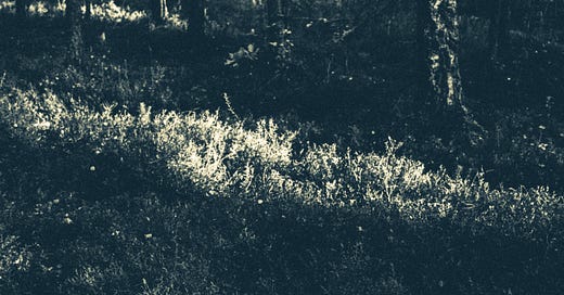 Campfire Sparks | Eric Pan | Substack