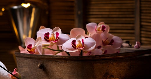 Erotica By Lilla Bell | Substack