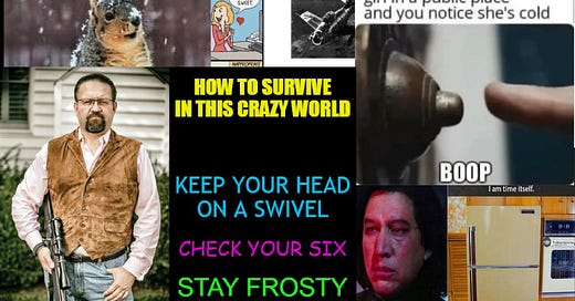 WarGate Operator | Substack