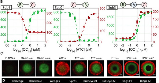 Complexity Thoughts | Manlio De Domenico | Substack