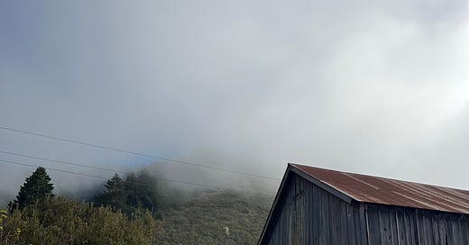 By Candlelight | Lacy Phillips | Substack